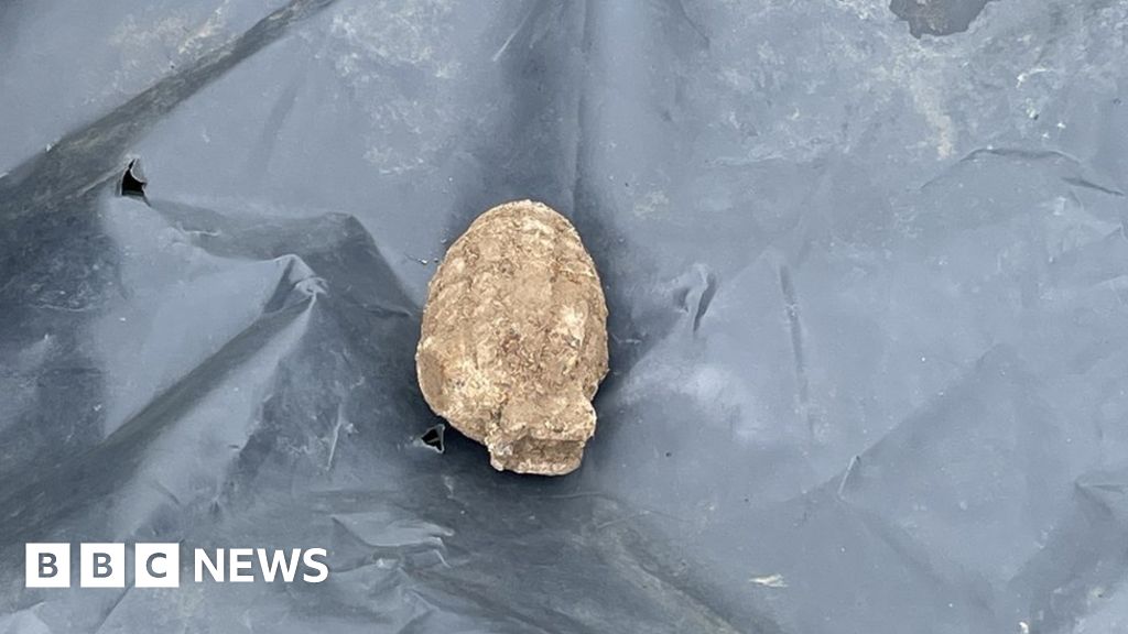 Ickleton allotment holder finds grenade while planting asparagus