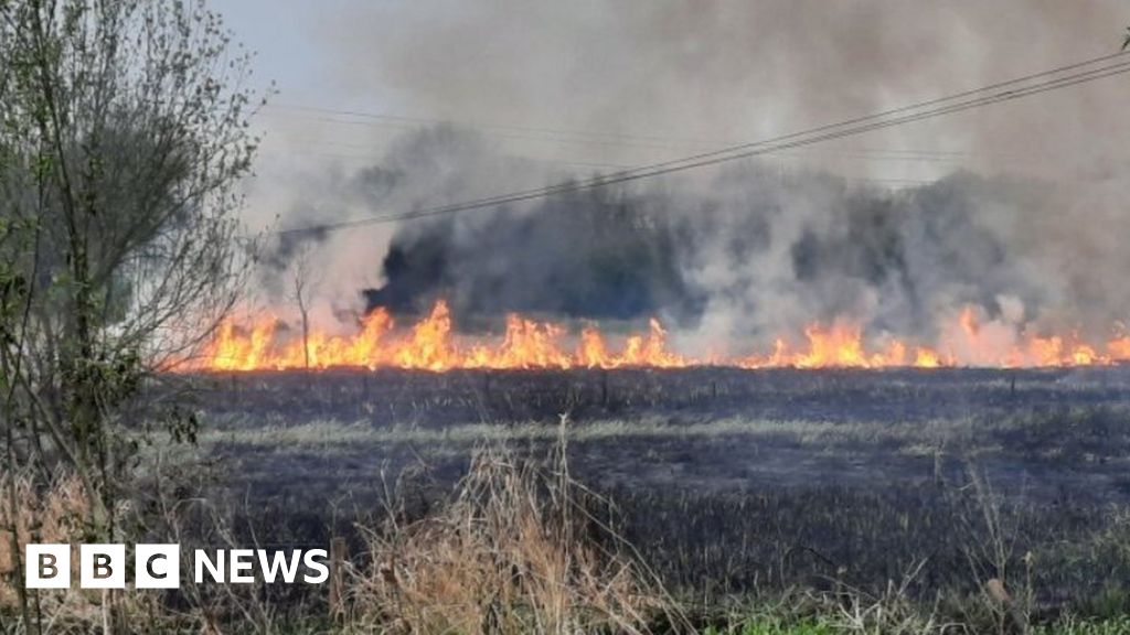 Reading: Fire crews battle scrubland blaze - BBC News