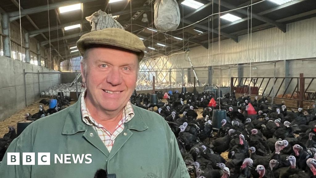 Christmas turkey bird flu warning from Tamworth farmer