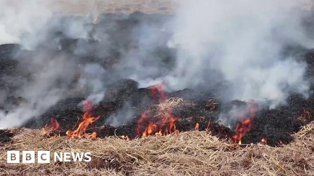 Welsh wildfires: Fire services 'fighting fire with fire' - BBC News