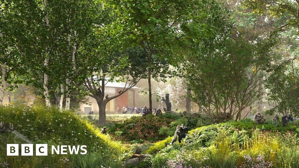 Bristol Zoo releases new Wild Place plan images - BBC News