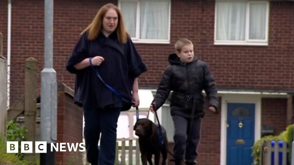 Labrador to help nine-year-old boy with autism