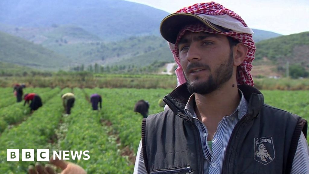 Migrant crisis: The Syrian migrants left in Turkey - BBC News