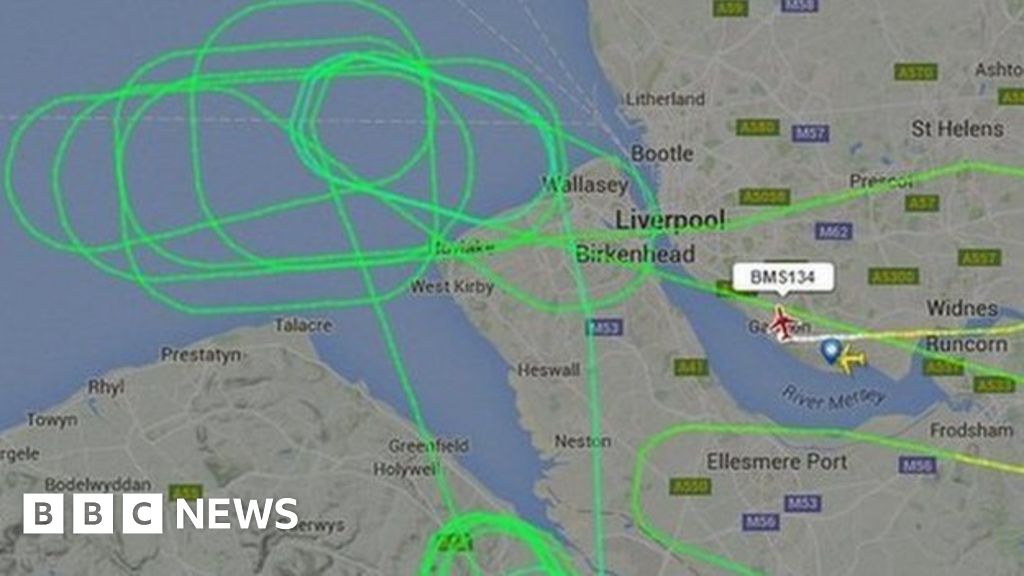 Suspect bird strike causes two-hour delay over Liverpool - BBC News