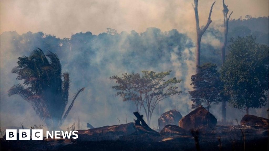 Amazon fires: Brazil bans land clearance blazes for 60 days - BBC News