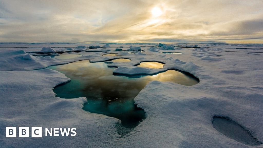 Melt ponds suggest no Arctic sea-ice record this year - BBC News