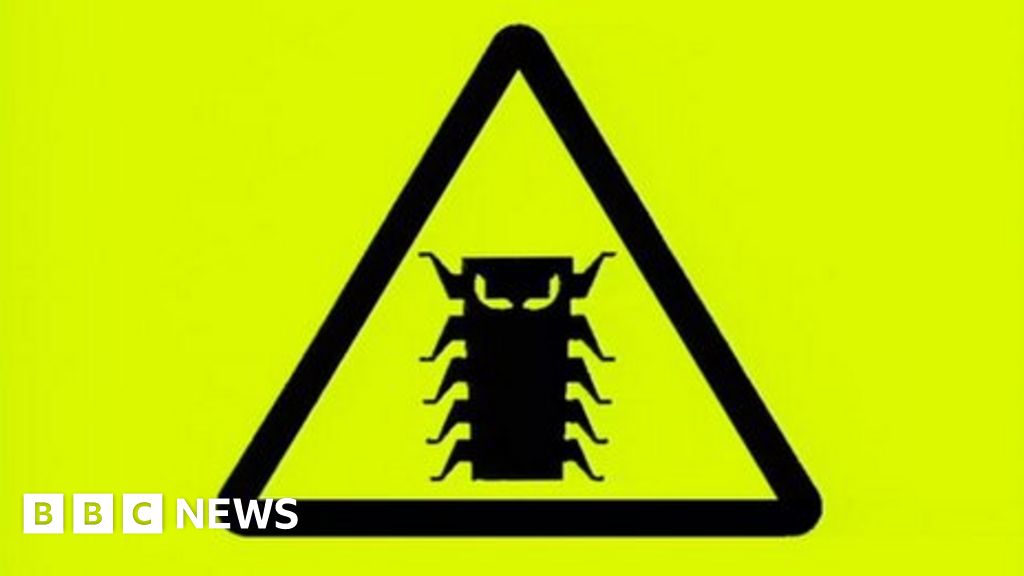 Millennium Bug Was It A Myth BBC News Millennium Bug Was It A Myth BBC News