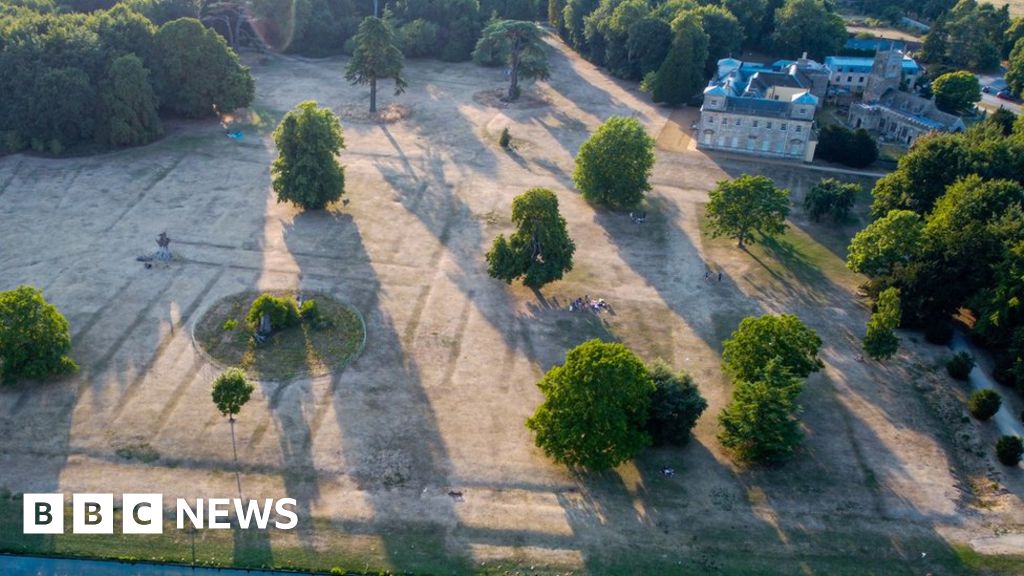 Lost Gardens of Lydiard revealed after heatwave
