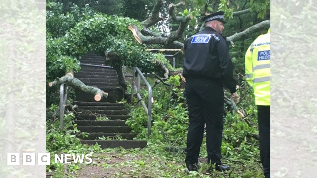 Boy hit by falling branch near Ysgol Bryn Elian, Old Colwyn - BBC News
