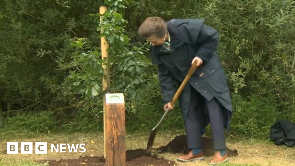 Tree planted by Princess Anne stolen from Marston Vale forest - BBC News
