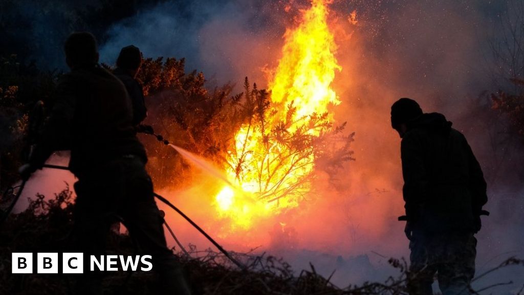 In pictures: Fire crews tackle Guisborough gorse blaze