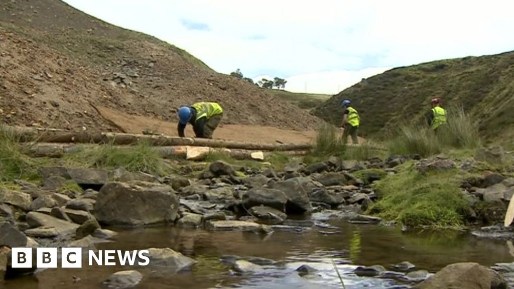 River Nent to undergo £6m clean up of mine metals - BBC News