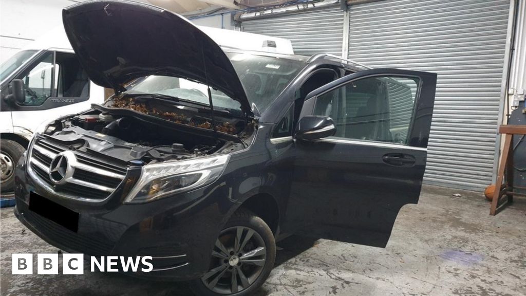 Six held as police uncover Merseyside stolen car workshops