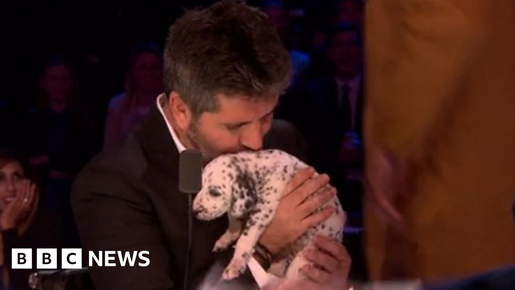 Simon Cowell apologises for scared puppies on BGMT - BBC News