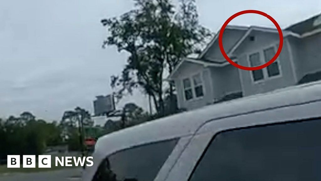 Officer fires gun after mistaking falling acorn for gunshot - BBC News