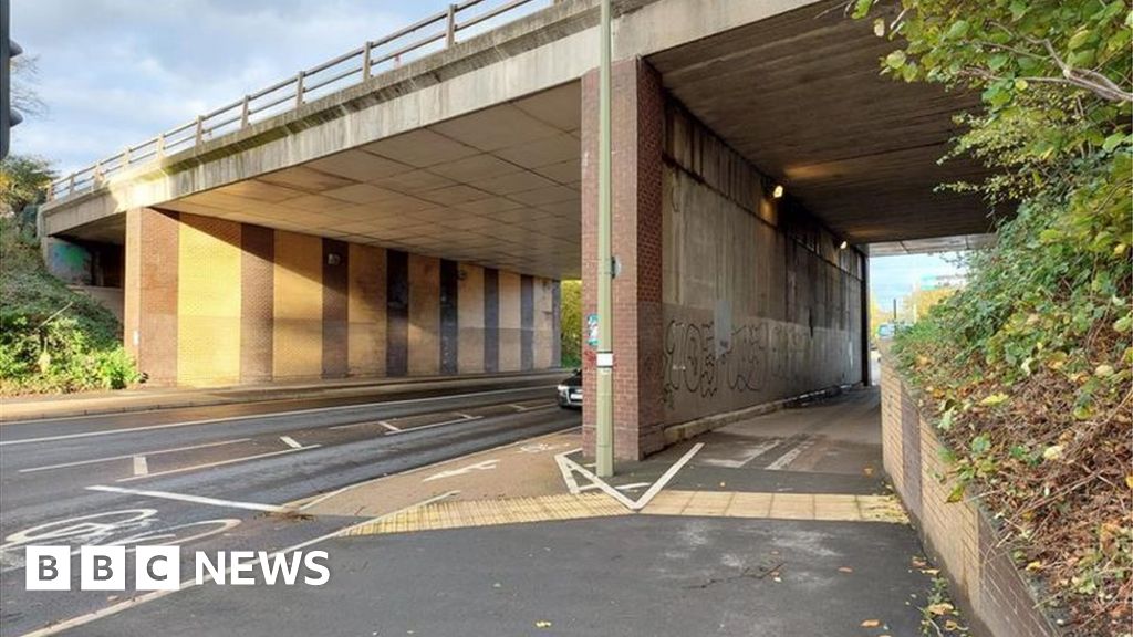 Oxford: Concerns raised over rat infestation under bridge