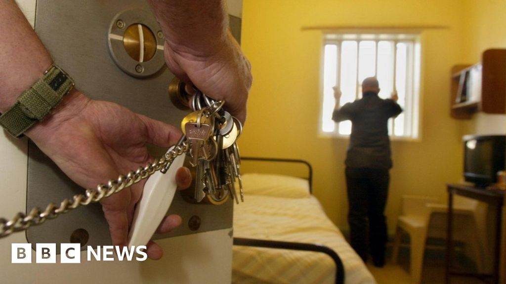 Gove's prison sentencing challenge - BBC News
