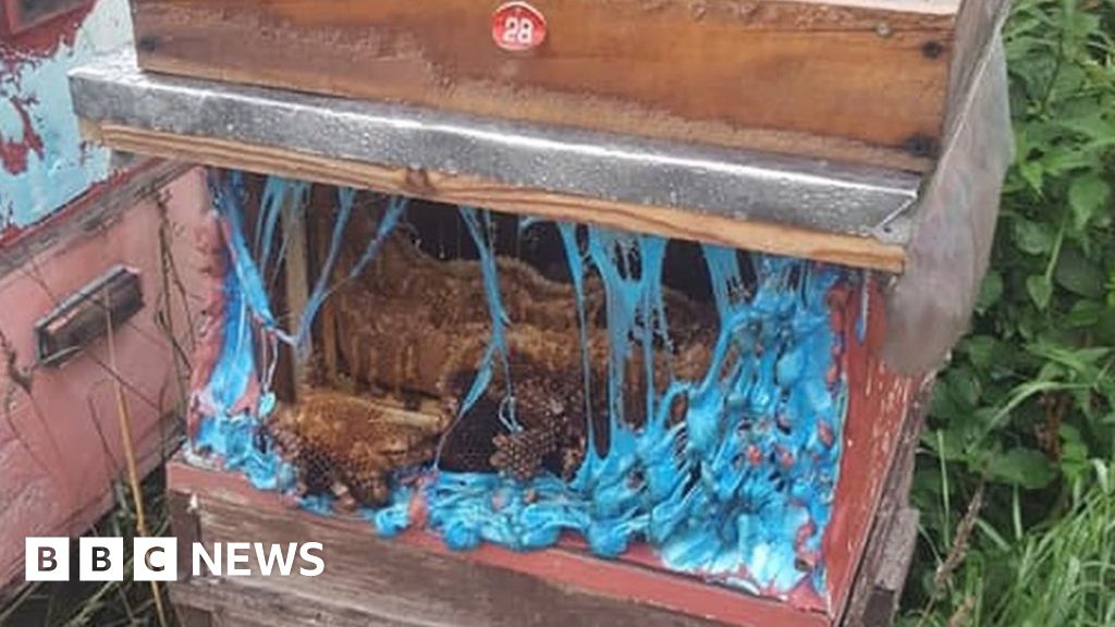 'One million bees' killed in Nottinghamshire hives arson attack