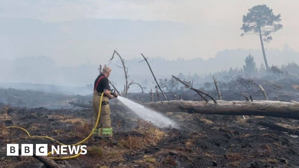 Wareham Forest: Strong winds reignite five-day-old blaze - BBC News