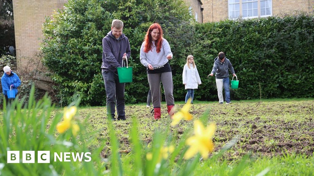 New wildflower meadow created to boost nature habitats - BBC News
