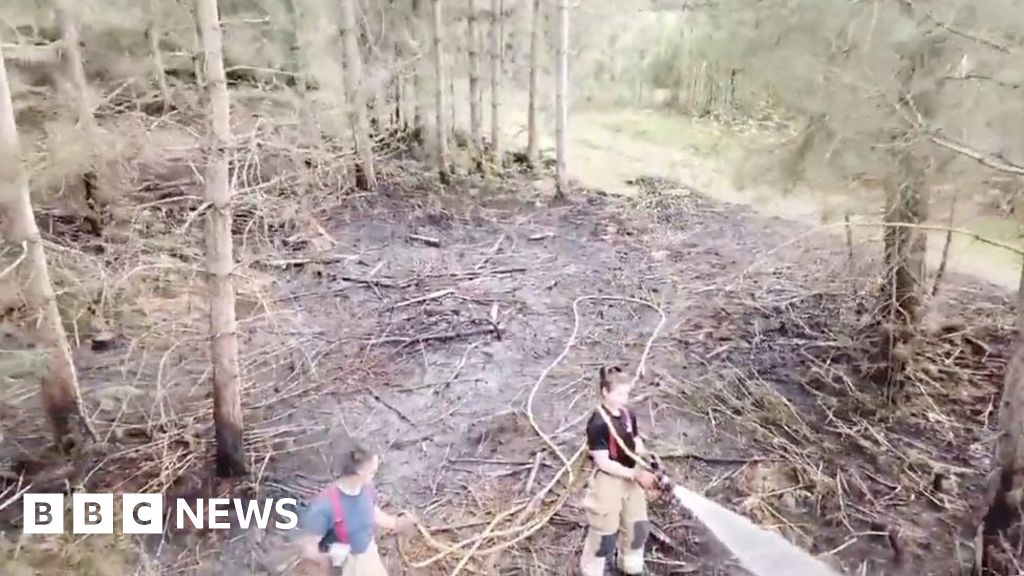 Drone video shows aftermath of forest fire in Suffolk - BBC News