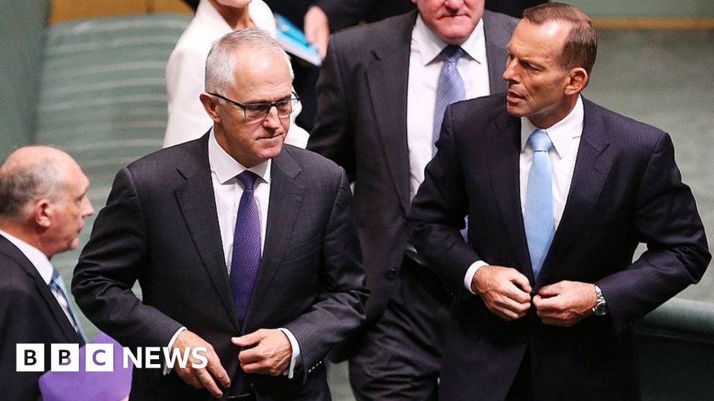 Tony Abbott: Australian ex-PM was 'too drunk' to make vote