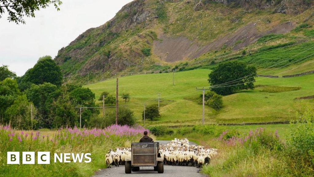 Your pictures of Scotland: 14 July to 21 July - BBC News