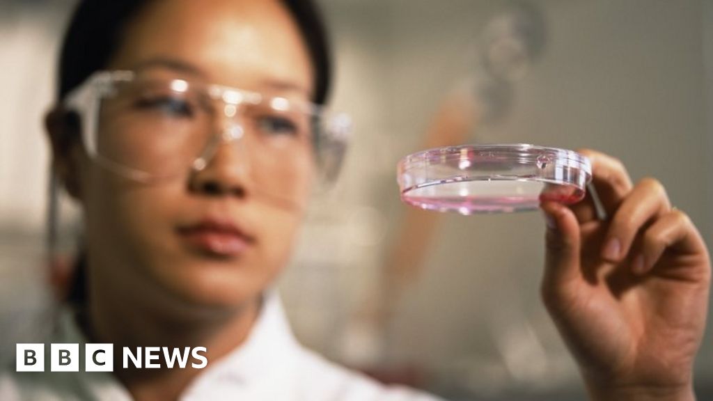 More women researchers needed 'to deliver food security' - BBC News