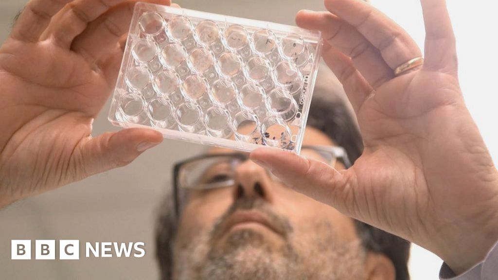 Inside high-security laboratory developing a Zika vaccine - BBC News