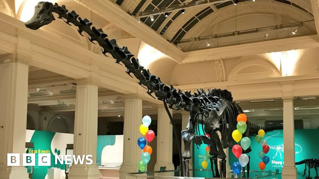 Dippy the dinosaur exhibition bows out of Birmingham - BBC News