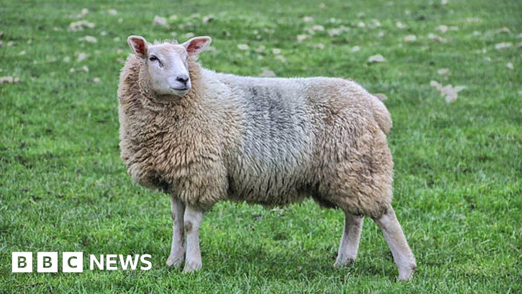 Crime Line. | Page 22 | agmatters