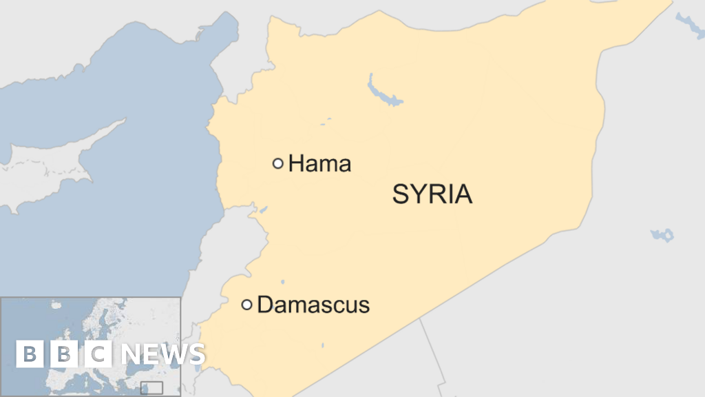 Syria war: IS attack in Hama on government forces - BBC News