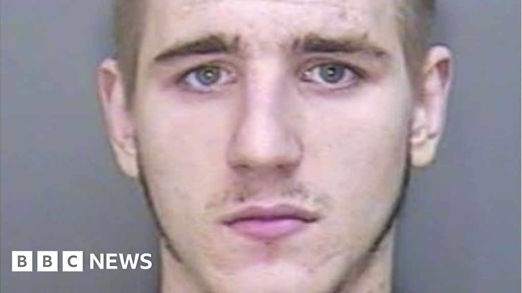 Teen who attacked pregnant woman with a machete is jailed - BBC News