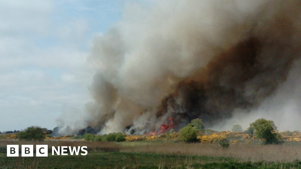 Southwold Common gorse fire closes golf course - BBC News
