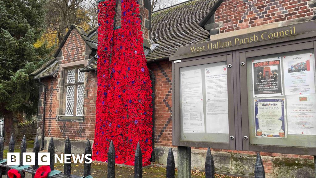 Thousands of knitted poppies created for Remembrance display