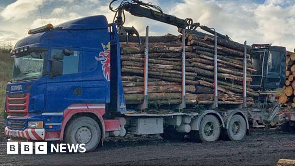 Thieves take off with timber lorry from Eskdalemuir forest - BBC News