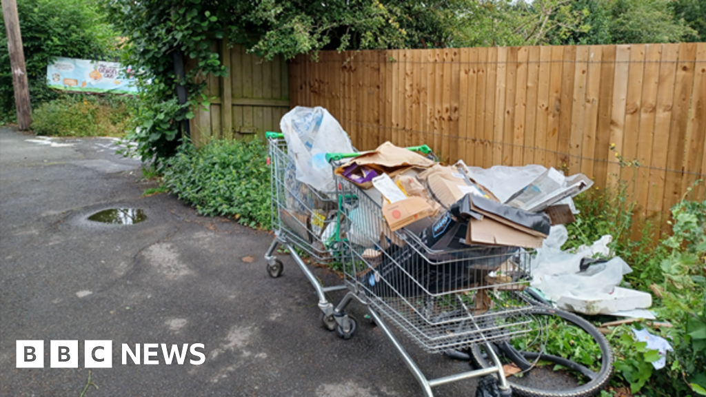 Dumped Sunderland trolley fines to be extended - BBC News