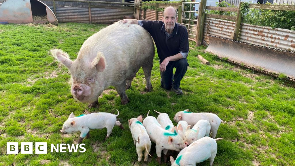 Clarkson's Farm: People more aware of what farmers 'go through' - BBC News