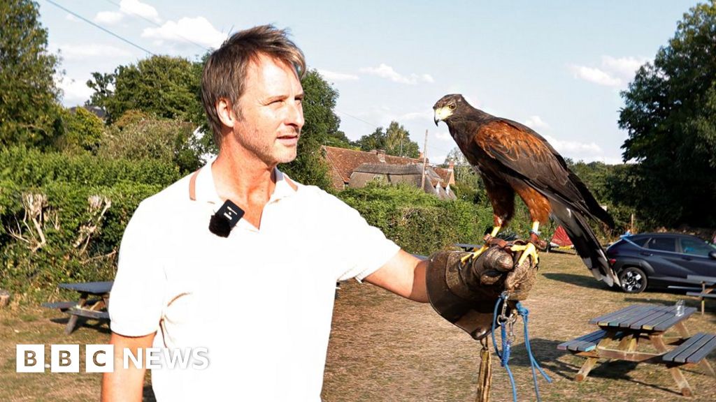 Chesney Hawkes meets namesake Flamstead hawk