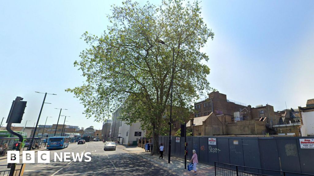 Southend council saves 150-year-old tree from being felled