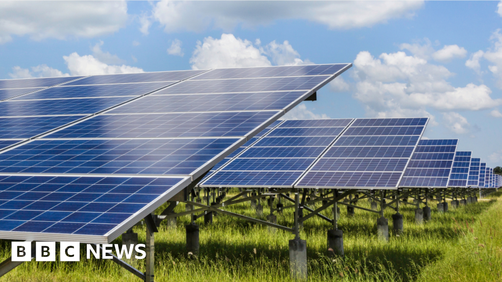 Norfolk solar farm 'part of food security solution' - developer