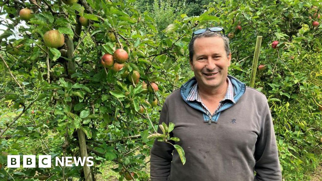 Somerset apple farmer swaps supermarket selling for his farm shop - BBC ...