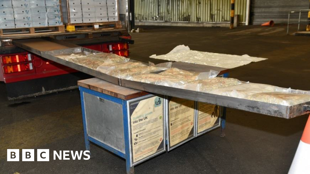 Driver jailed over drugs stash in chicken lorry in Killingholme