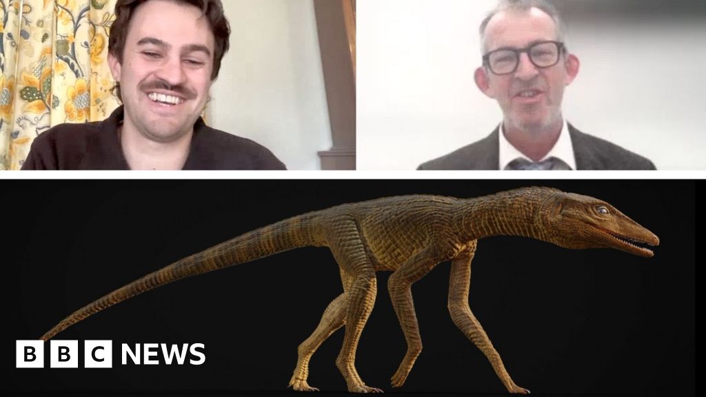 Ancient crocodile species named Jones after teacher from Cardigan - BBC ...