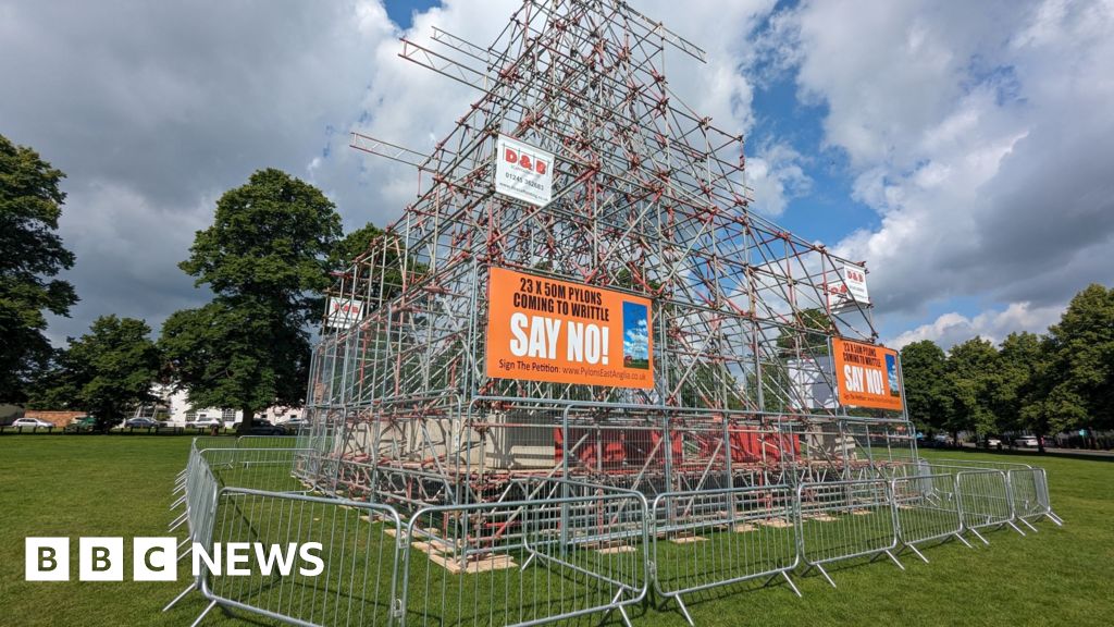 Writtle Parish Council erects mini pylon to fight new power line - BBC News