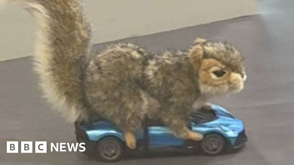 Remote-controlled squirrel helps train guide dogs