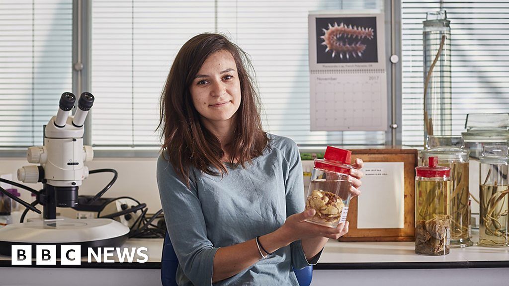 Extraordinary creatures of the deep - BBC News