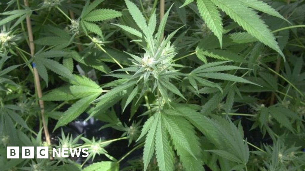 Drugs Worth £750 000 Seized In Raids Across Merseyside Bbc News