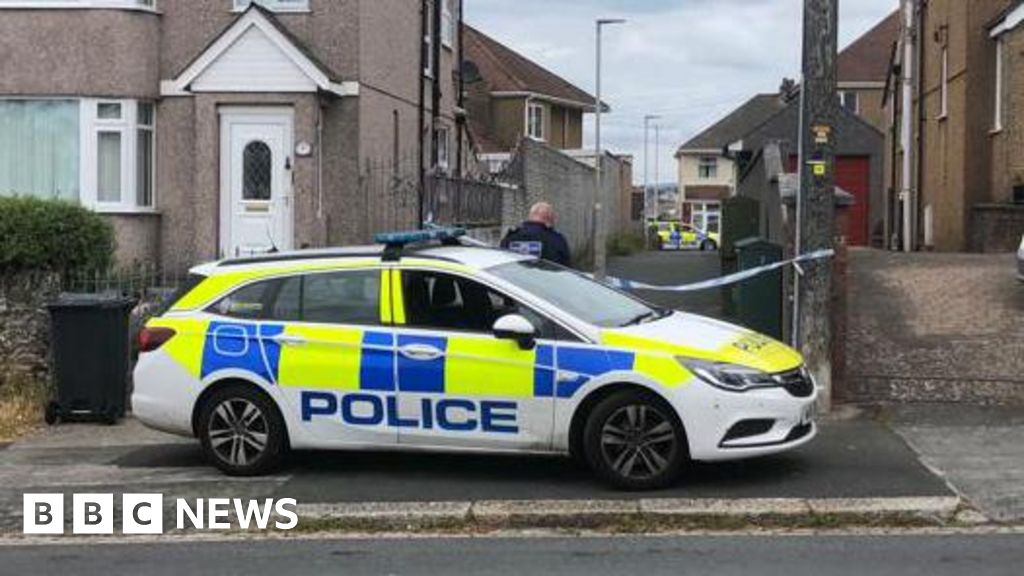 Plymouth Police Hunt Efford Road Sex Attacker