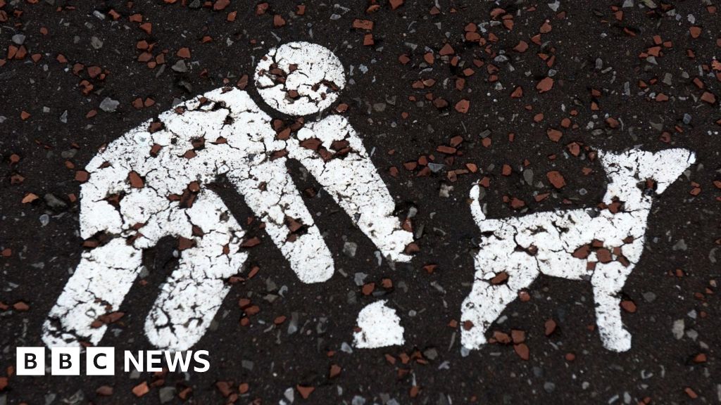 Knott End 'poo patrol' vows to 'bombard' Wyre Council with photos